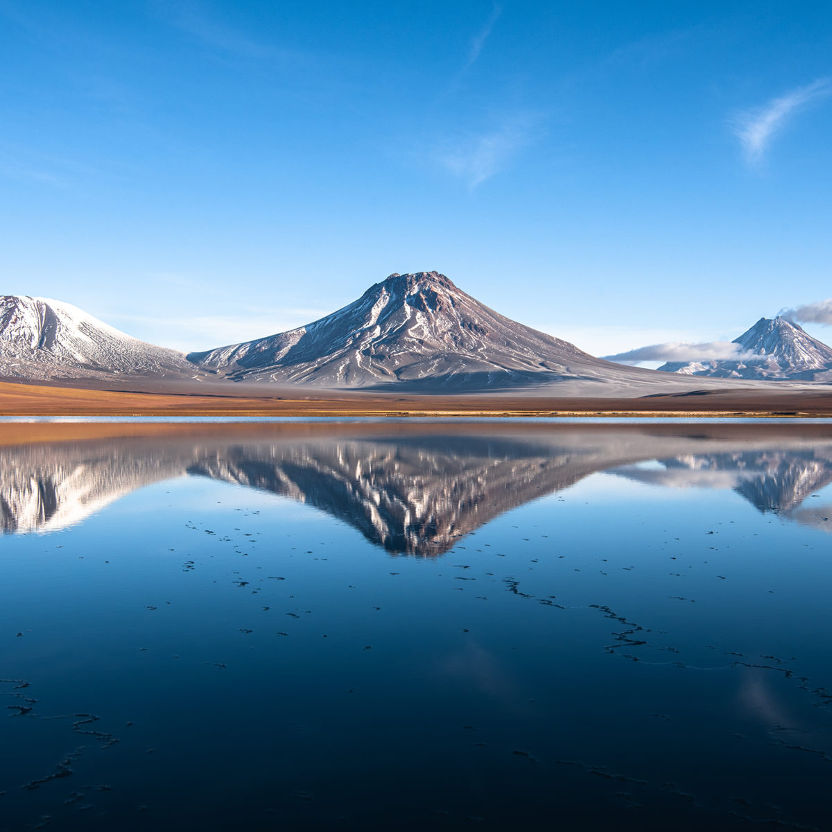 Artists - District Gallery